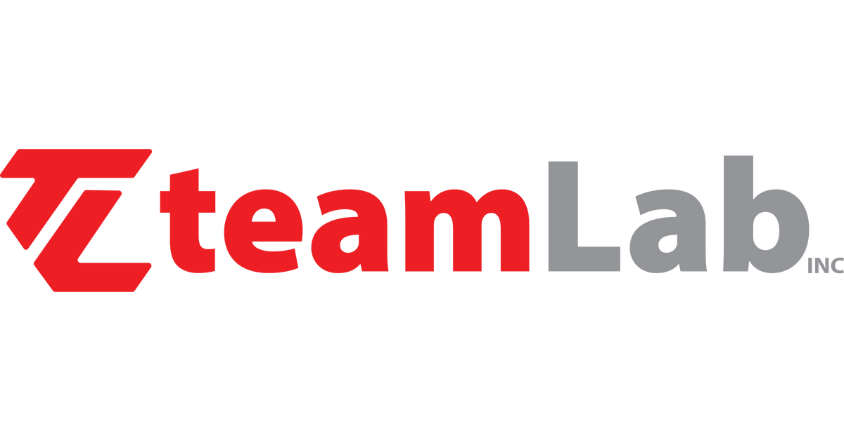 TeamLab Inc